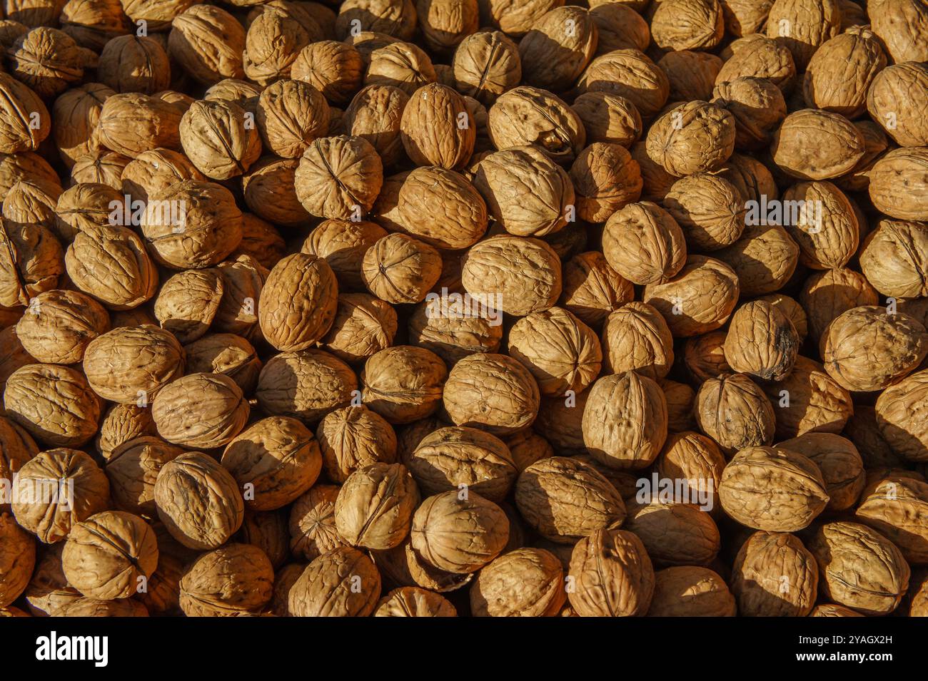 Large heap whole brown walnuts hi-res stock photography and images - Alamy