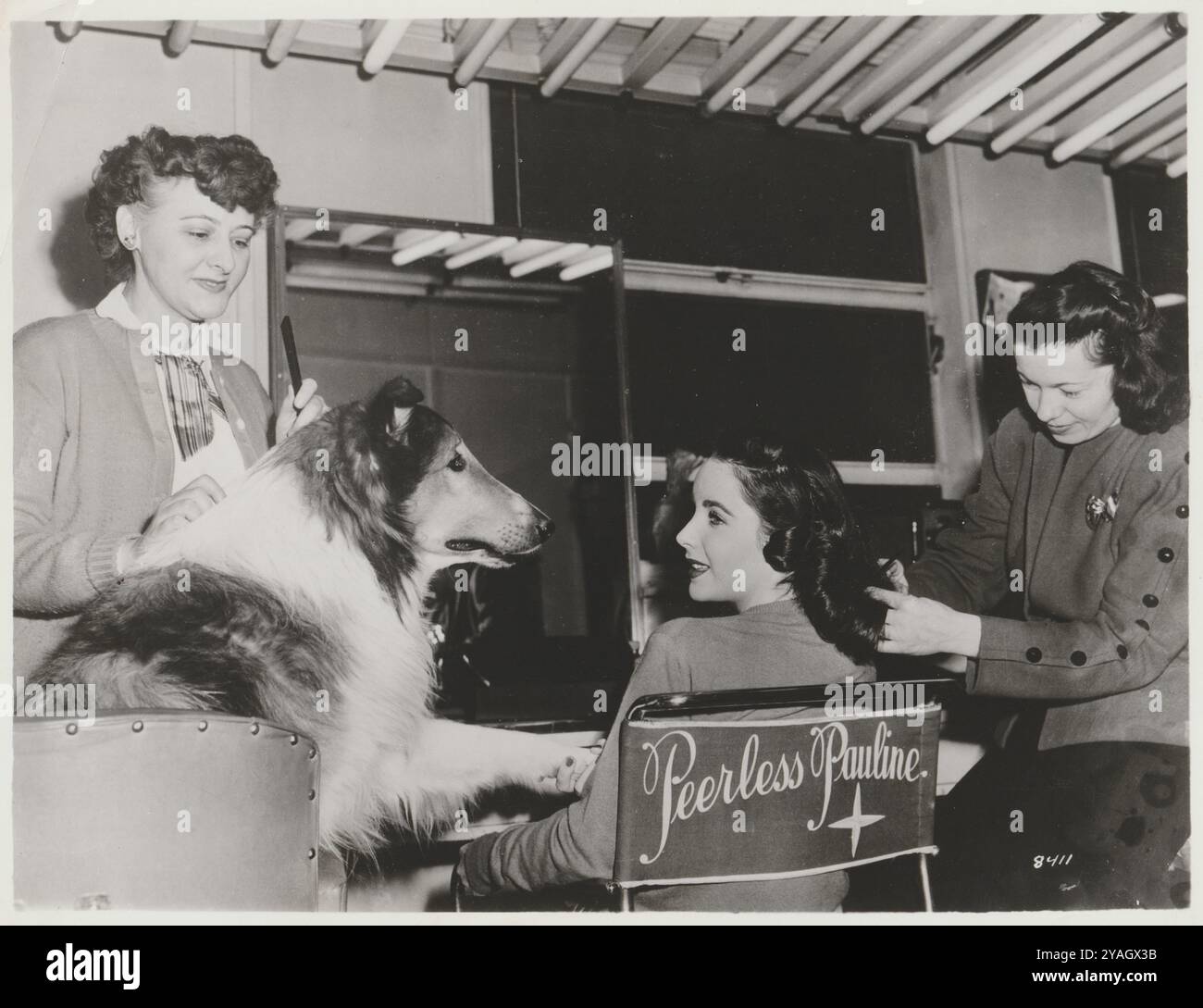 Lassie And Elizabeth Taylor Behind The Scenes Stock Photo - Alamy