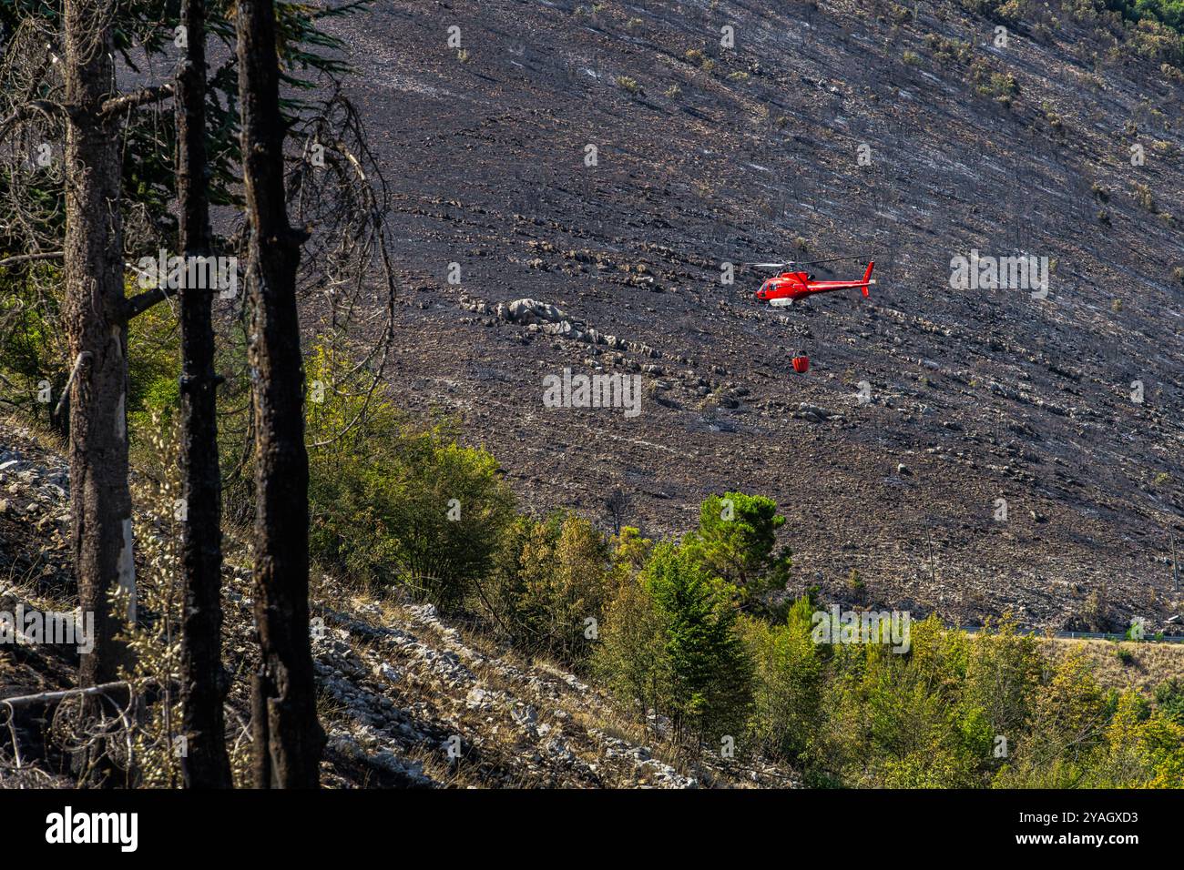 Red firefighting helicopter with water tank flies over forest fire ...