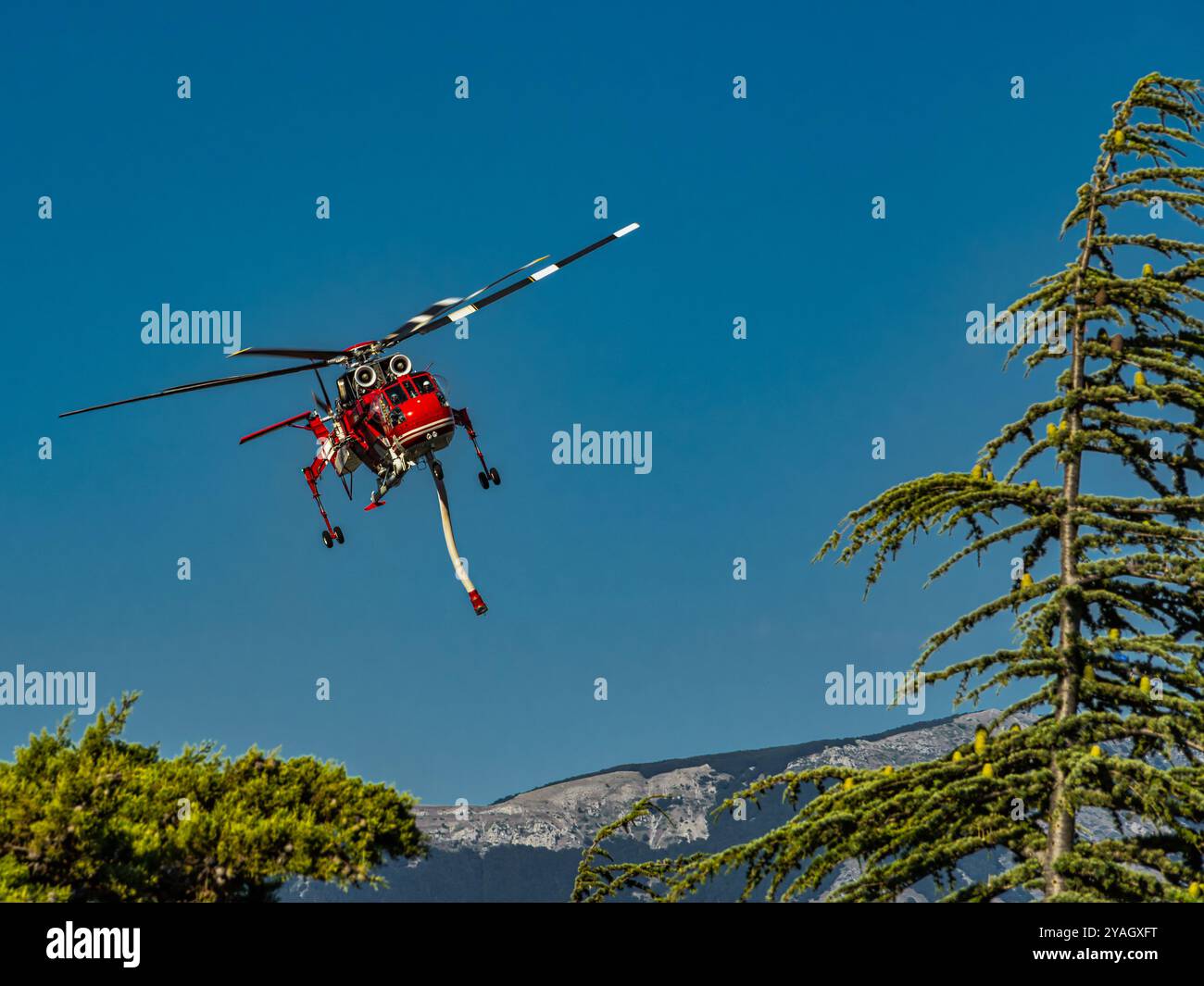 The Erickson S64 firefighting helicopter of the Fire Department in ...