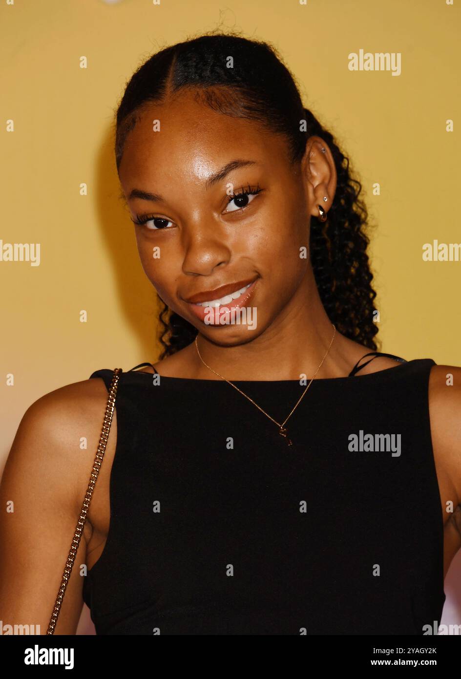 LOS ANGELES, CALIFORNIA - OCTOBER 10: Dai Time attends the Warner Bros ...