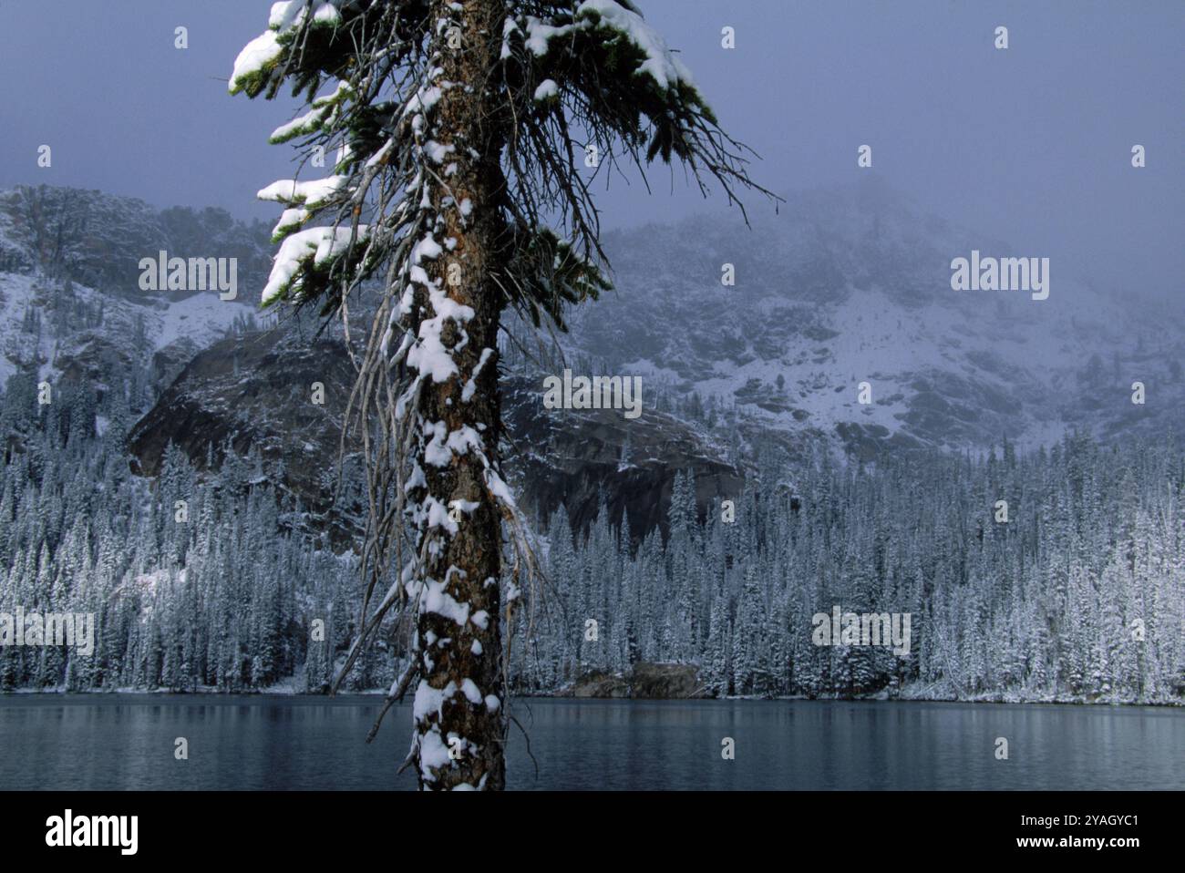 Saw tooth national hi-res stock photography and images - Alamy