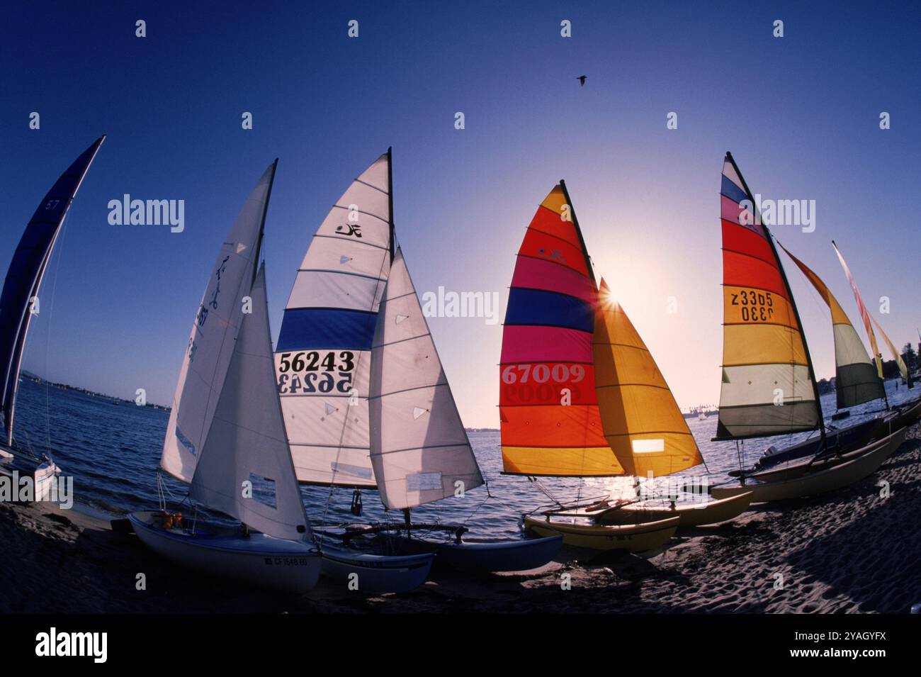 sailboats ocean race Stock Photo - Alamy