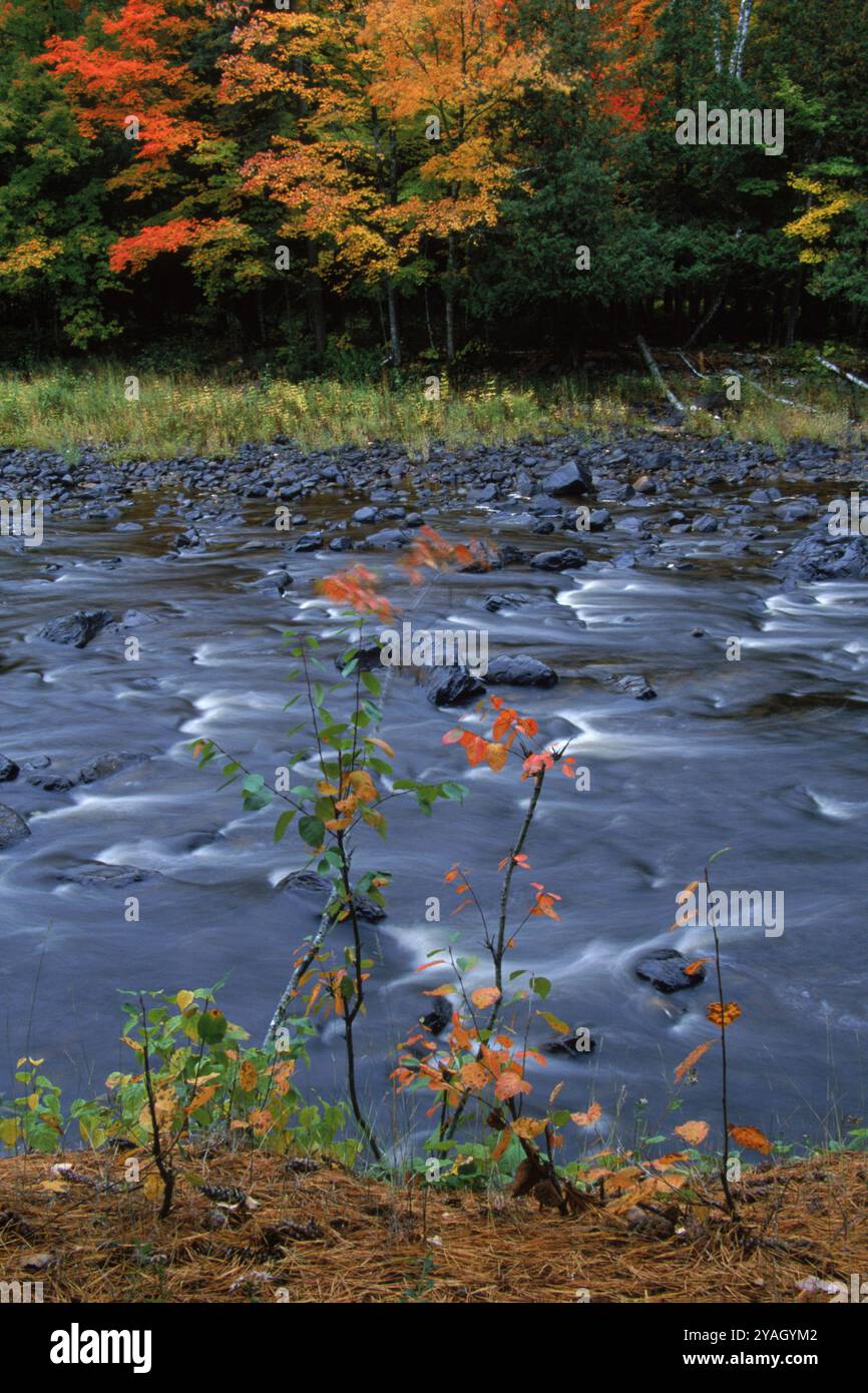 Ottawa National Forest Stock Photo - Alamy