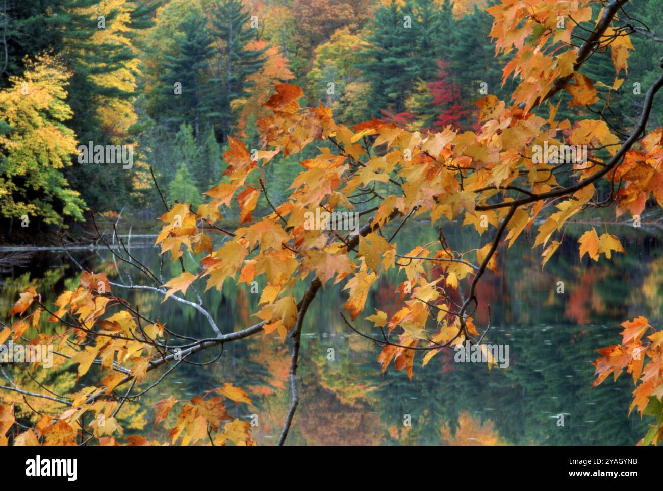 Chequamegon hi-res stock photography and images - Alamy