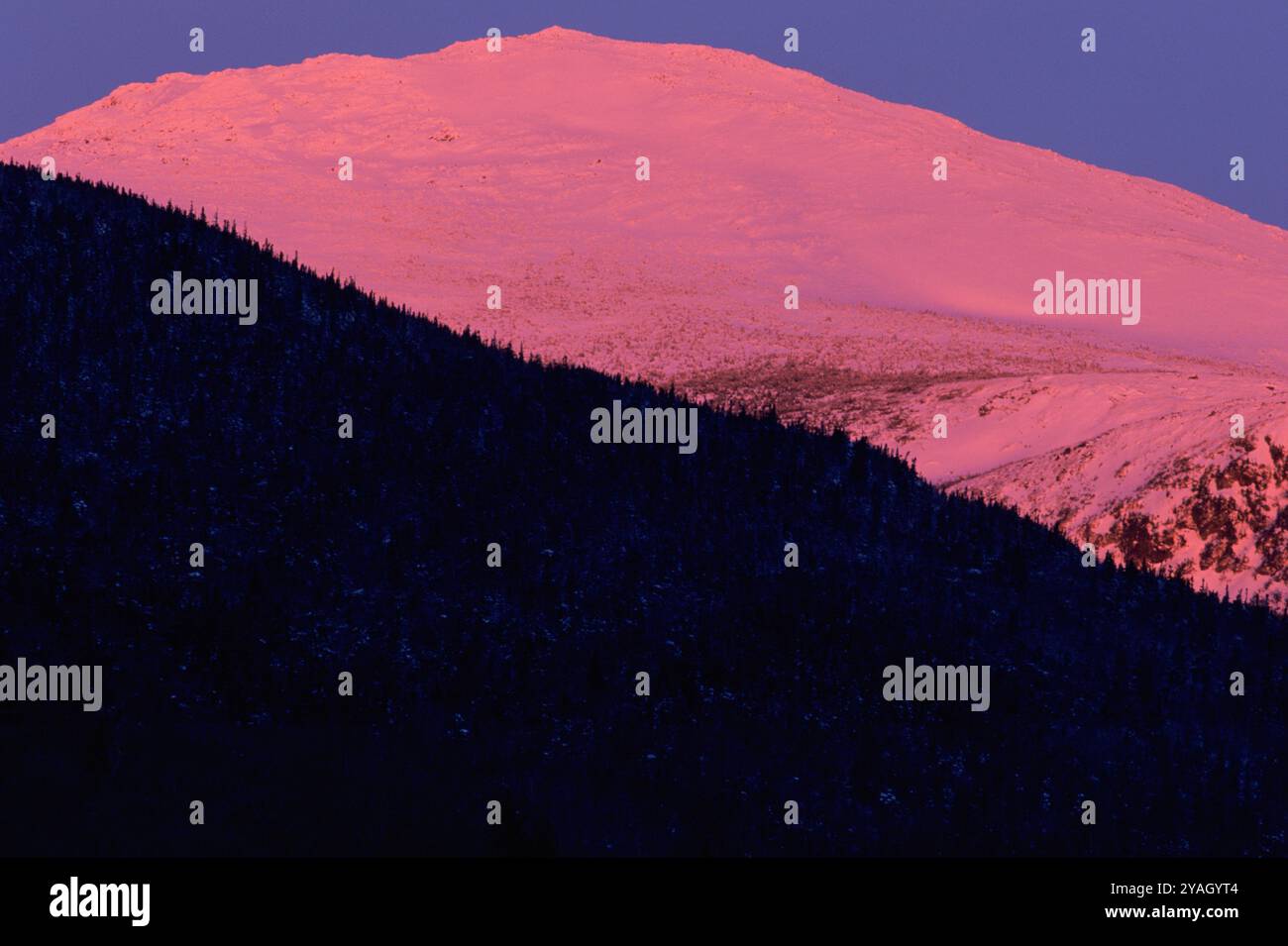 White Mountain National Forest, NH Stock Photo - Alamy