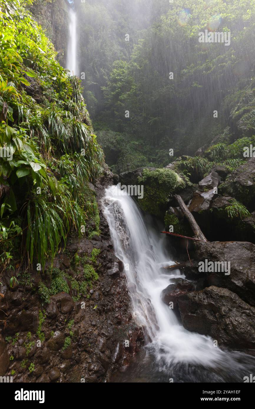 Middleham Falls, Morne Trois Pitons National Park, Dominica Stock Photo ...