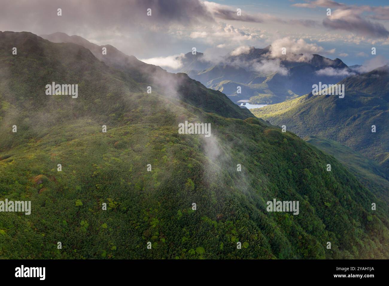 Rainforest morne trois pitons hi-res stock photography and images - Alamy