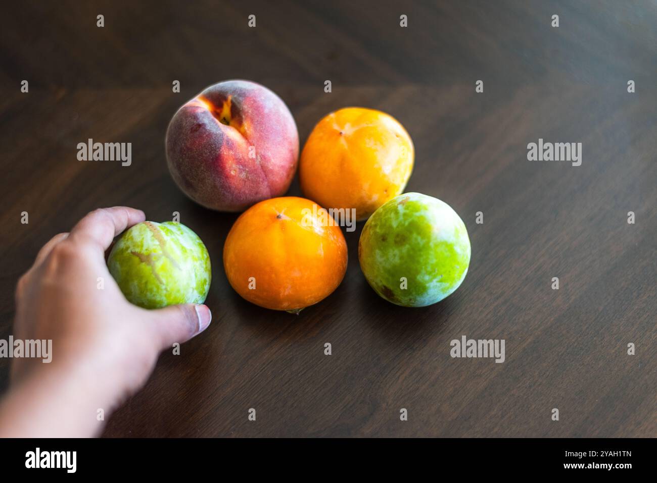 Orange persimmon fruits among green hi-res stock photography and images ...