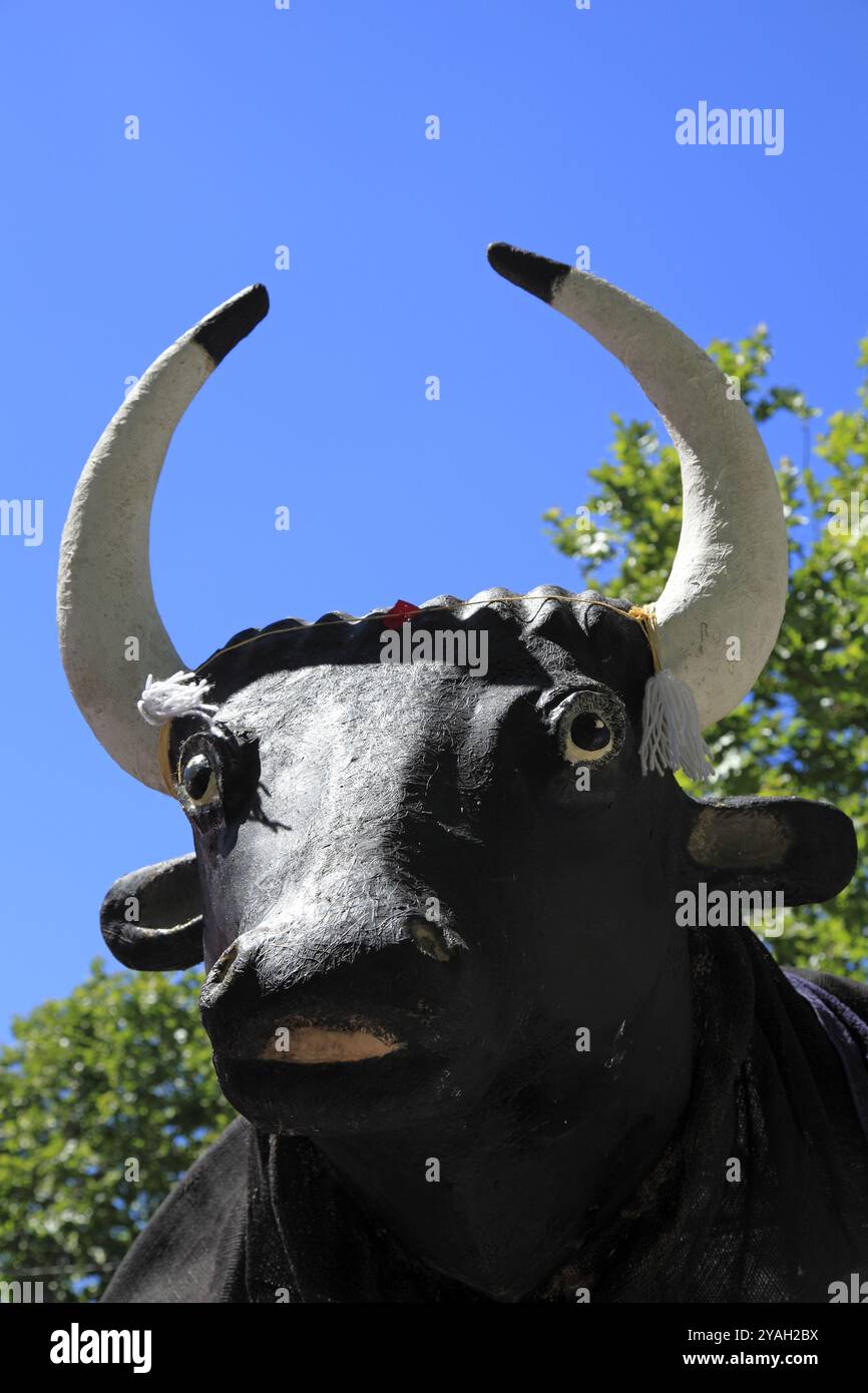 Bull of portiragnes hi-res stock photography and images - Alamy