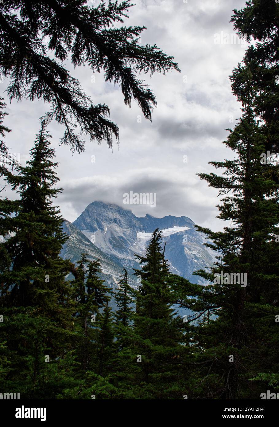 The natural beauty of nature Stock Photo - Alamy