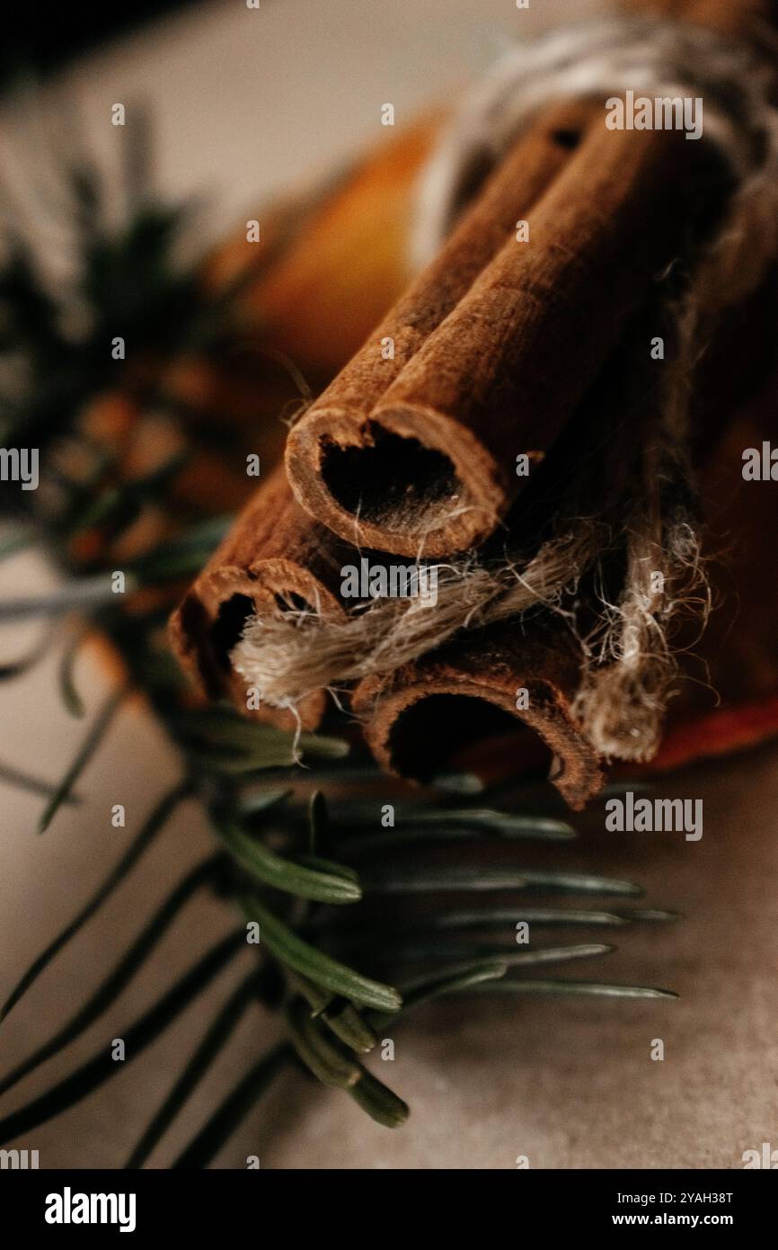 Background christmas ukraine christmas tree hi-res stock photography ...