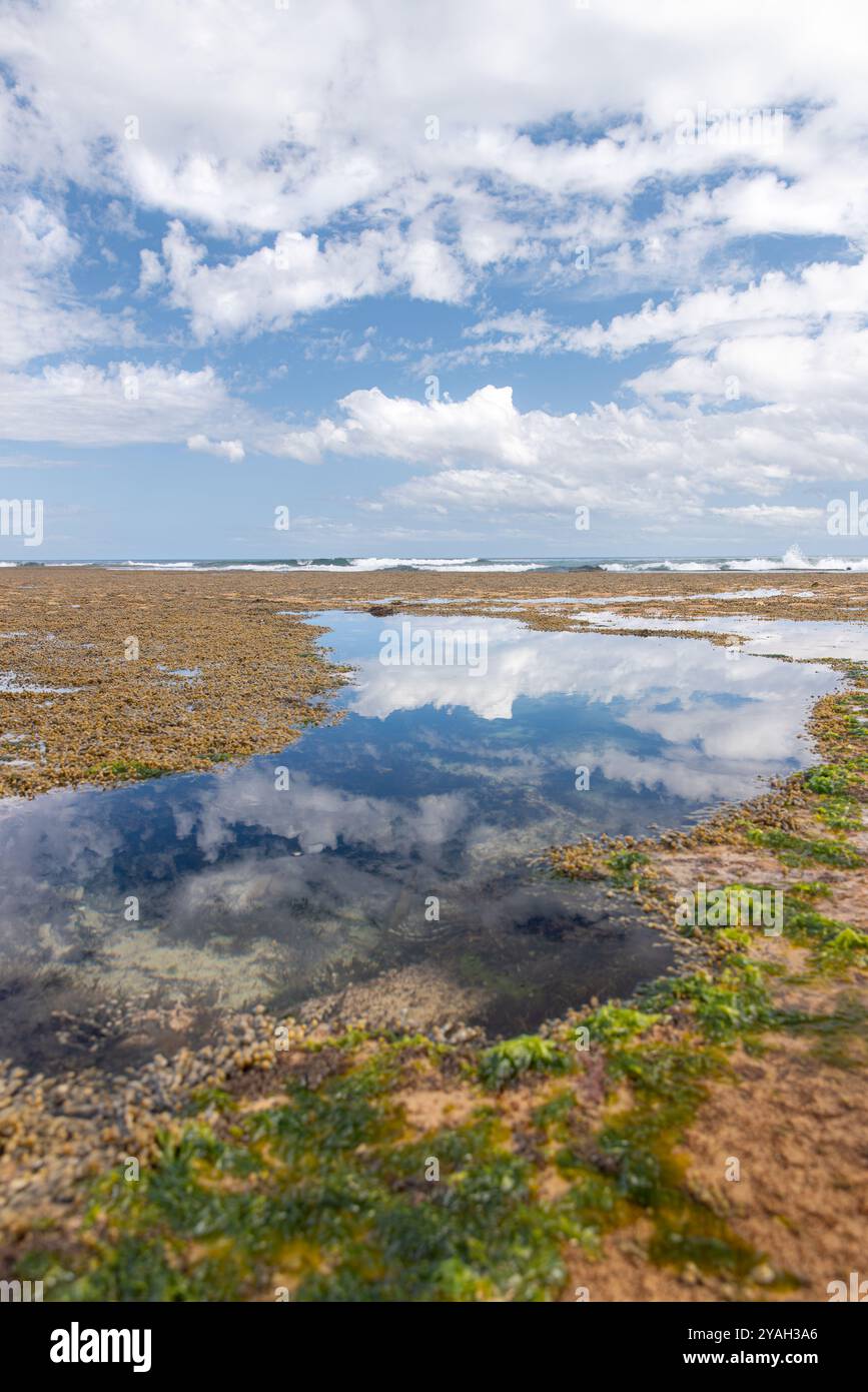 Coastal rock pools with clear sky reflection and distant waves Stock ...