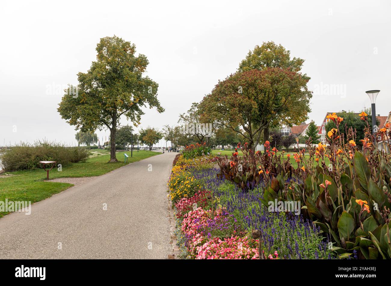 Langenargen Germany 20th September 2024 Uhlandplatz, parkland boardwalk ...