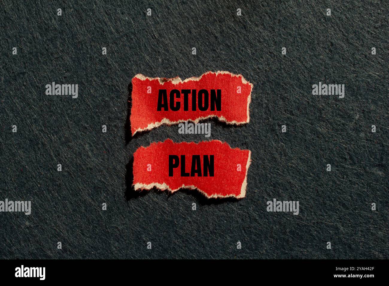 Action plan message written on ripped torn red paper pieces with gray background. Conceptual ...