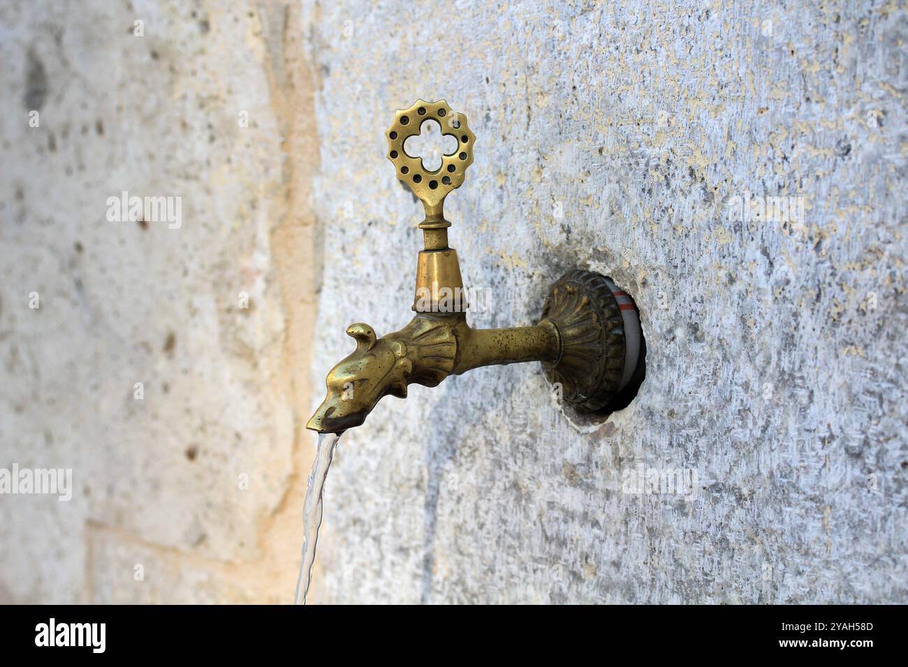 Animal shaped spout hi-res stock photography and images - Alamy