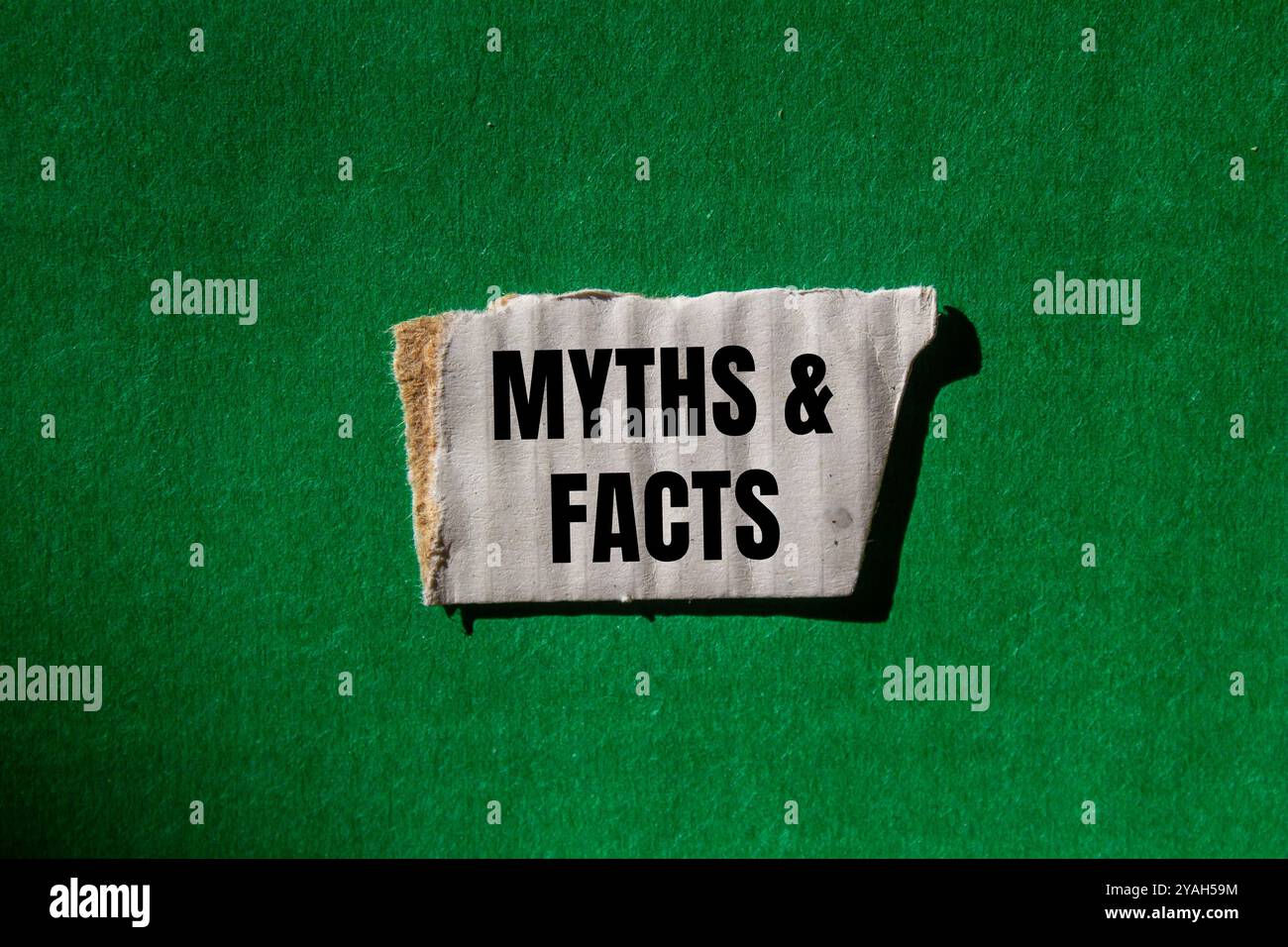 Myths and facts message written on ripped torn white paper piece with ...