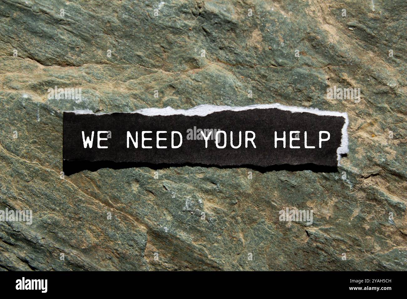We need your help message written on ripped black torn paper piece with ...