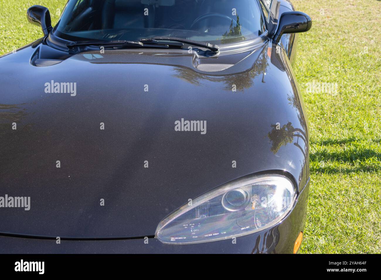 Black dodge viper rt10 parked on grass showing headlight and windshield ...