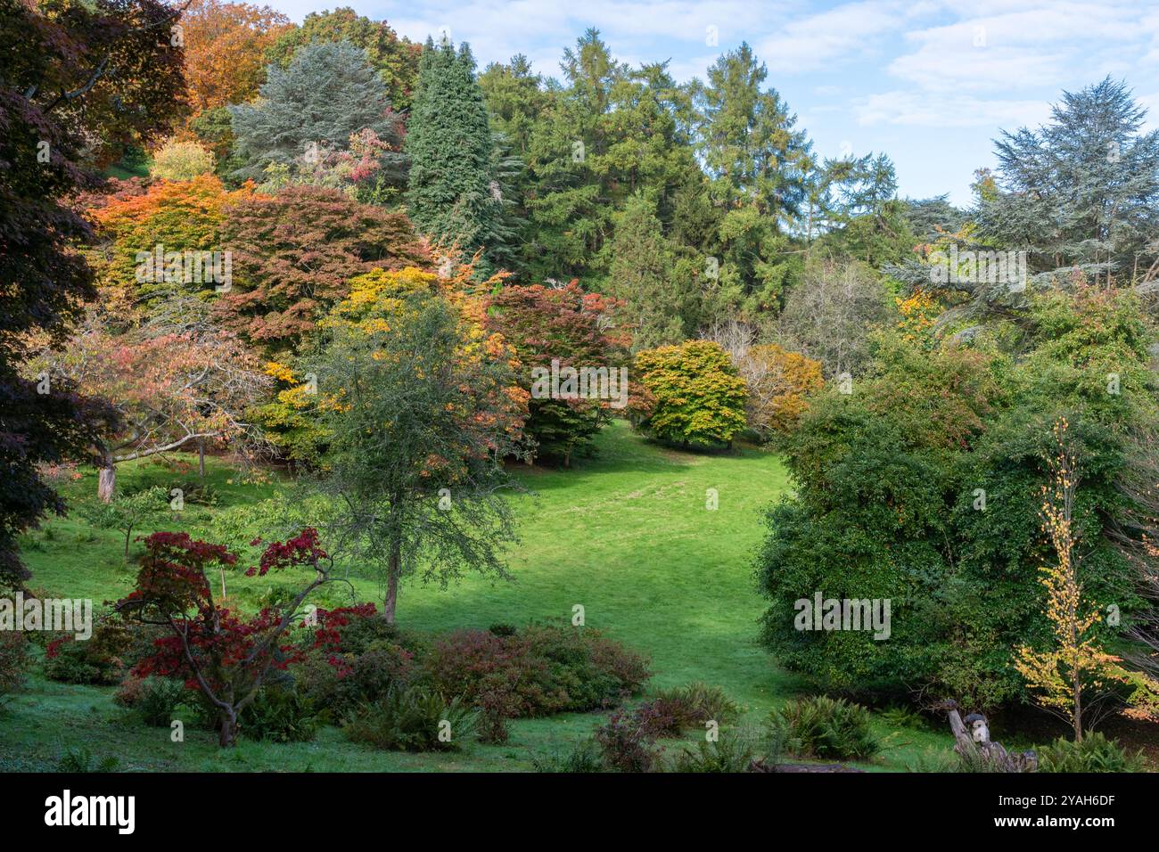 Autumn colours at Winkworth Arboretum, Surrey, England, UK. View of ...