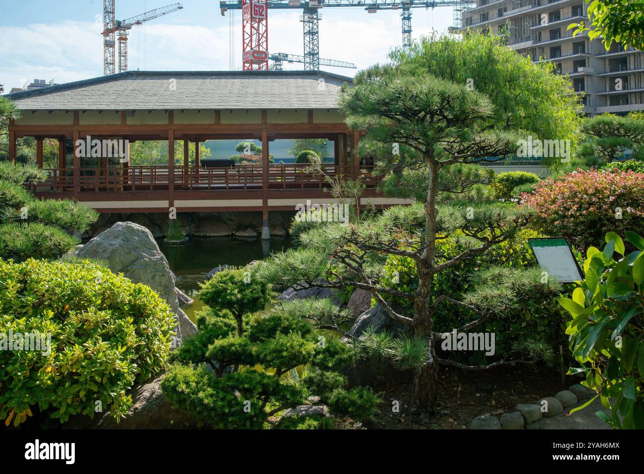 Amazing Japanese garden with pond in Monaco ( Monaco Carlo) and topiary pine trees and pavilion ...