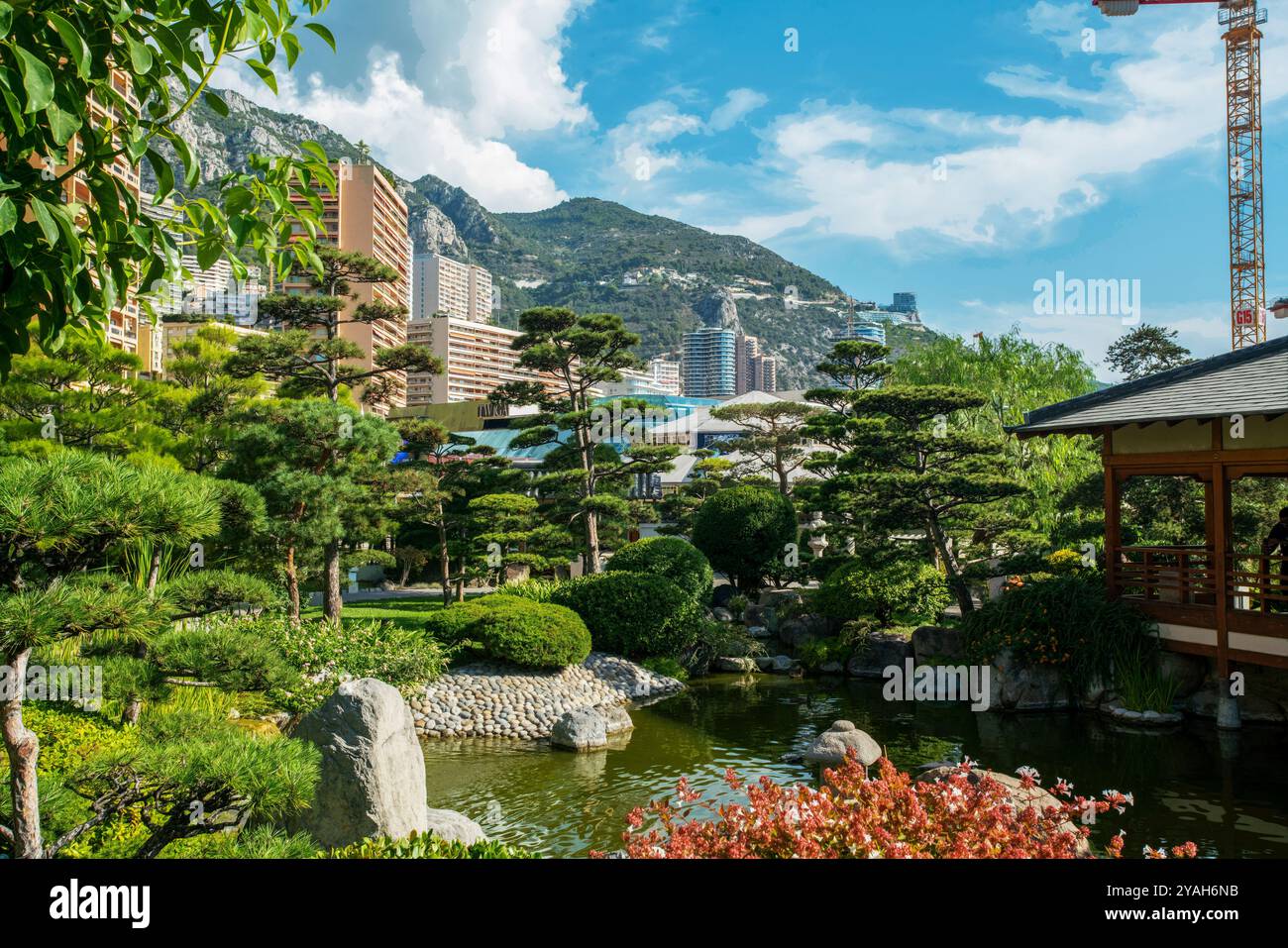 Amazing Japanese garden with pond and lantern and topiary pine trees and pond and pavilion Stock ...