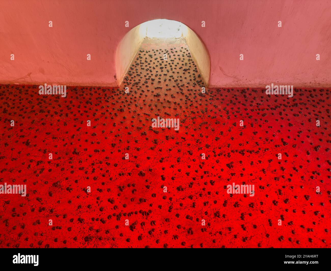 El vino original hi-res stock photography and images - Alamy