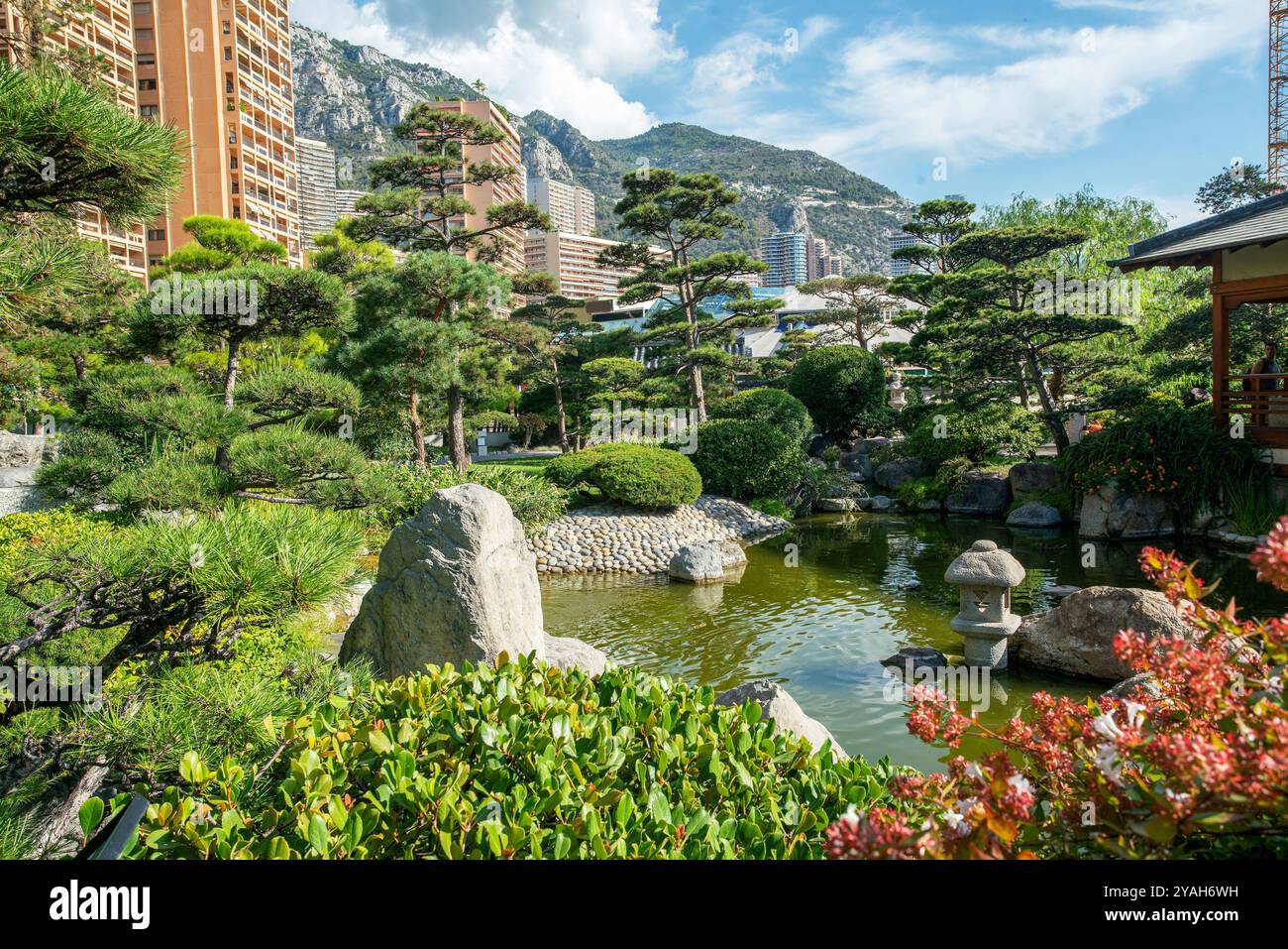 Amazing Japanese garden with pond and lantern and topiary pine trees and pavilion and ...