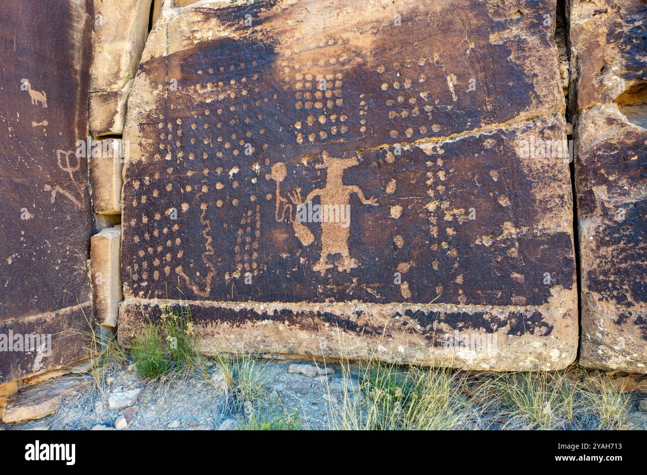 Coyote stars panel hi-res stock photography and images - Alamy