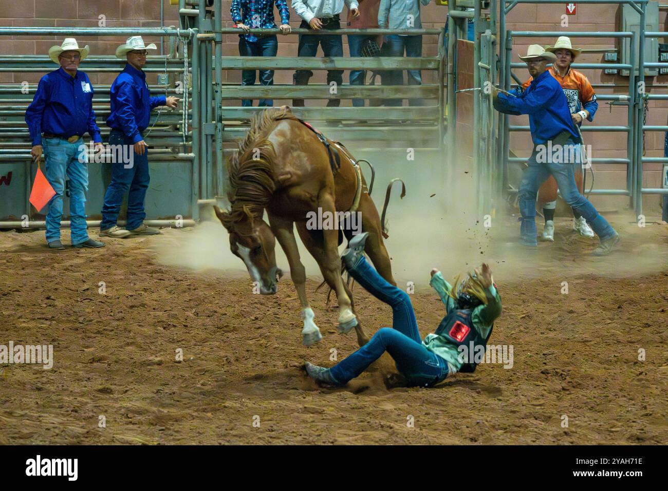 A young cowgirl gets bucked off a bucking horse at the Moab Junior ...