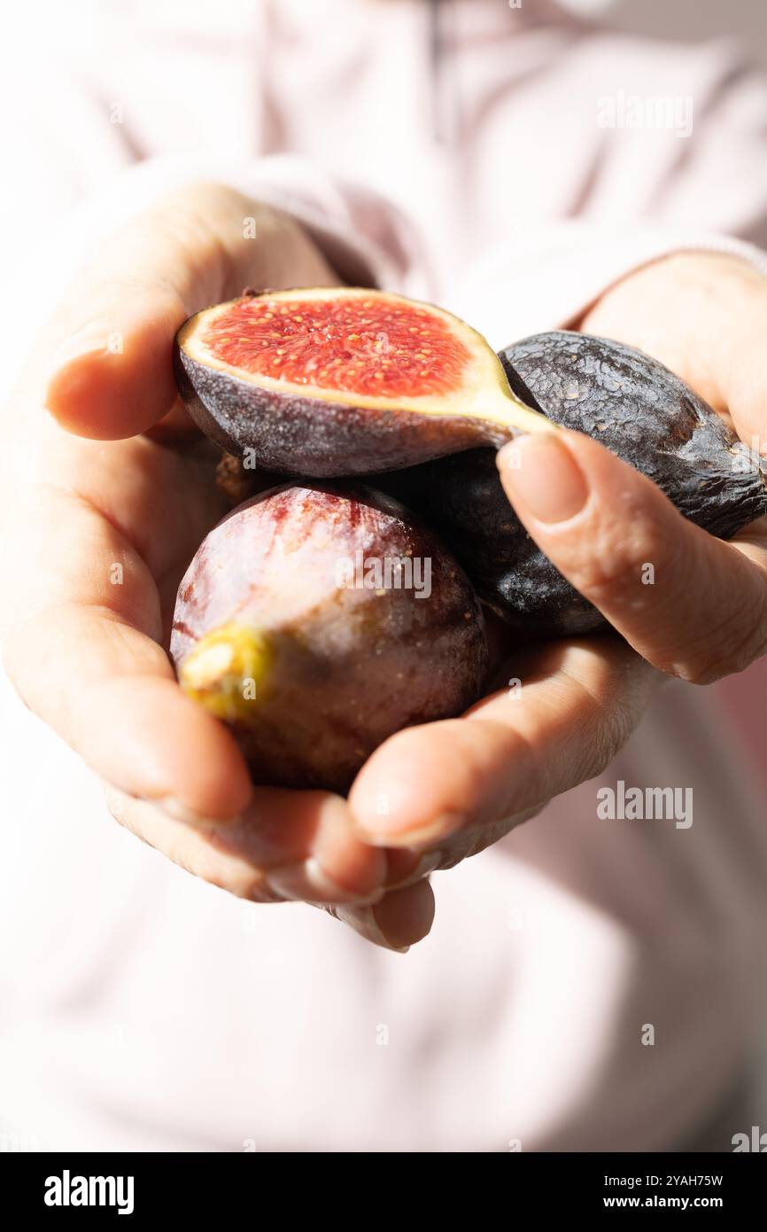 Hands offering figs hi-res stock photography and images - Alamy