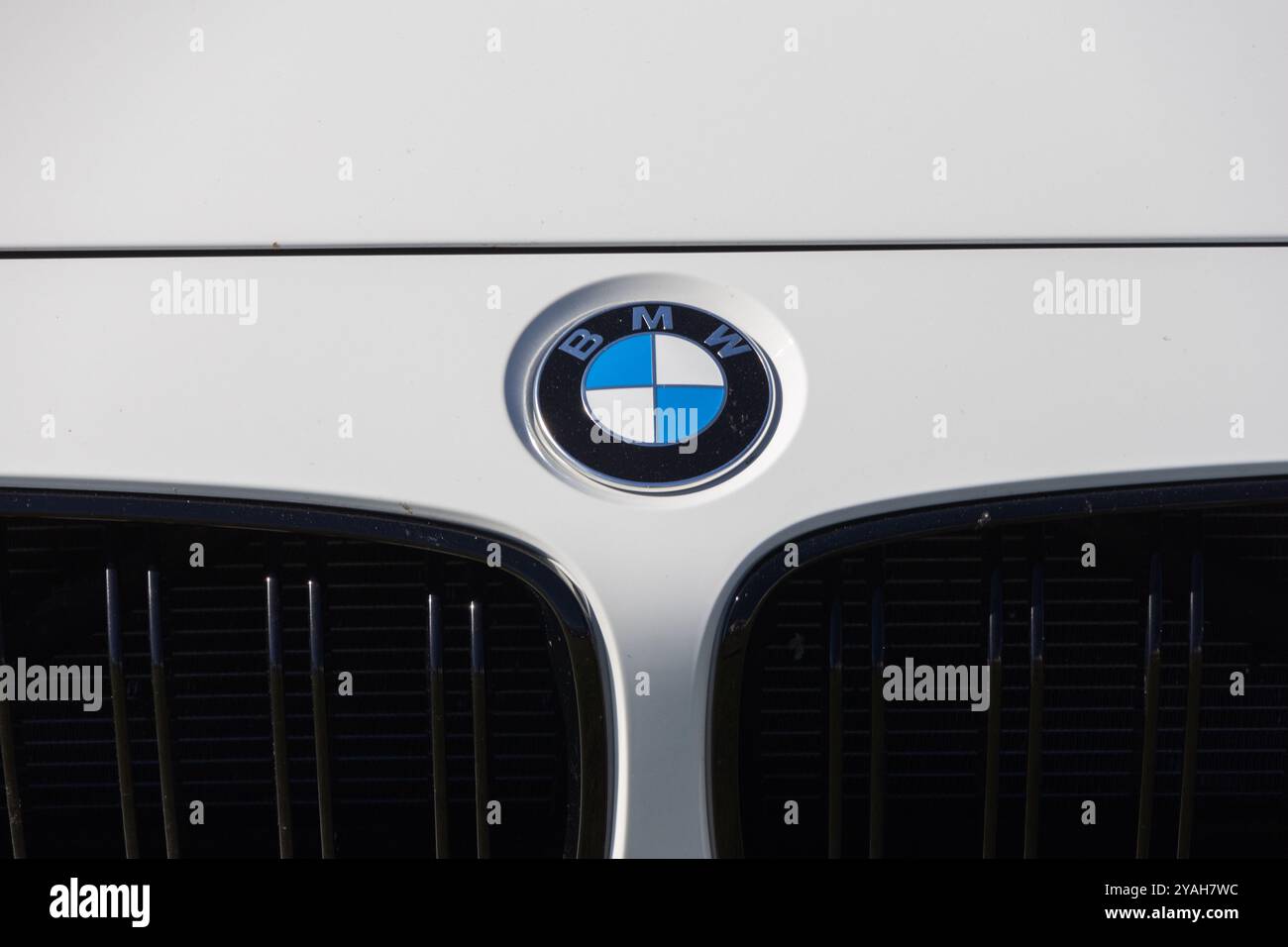 The iconic bmw logo is gleaming on the hood of a white sportscar ...