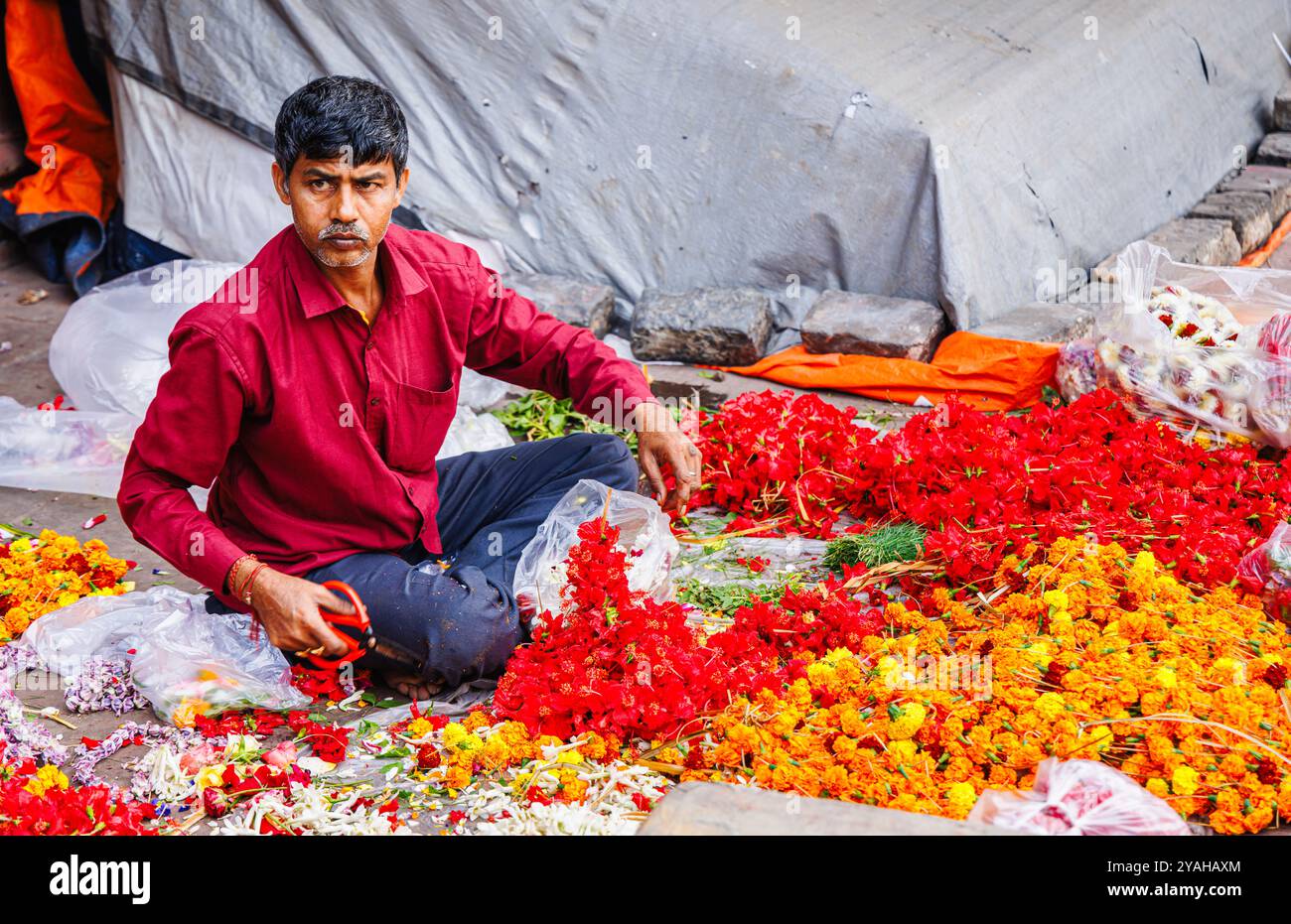 A local seller holds hibiscus garlands he is making in Howrah Flower ...