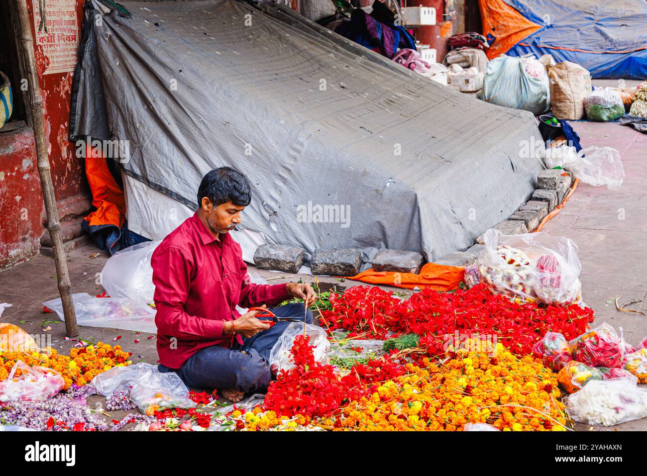 A local seller holds hibiscus garlands he is making in Howrah Flower ...