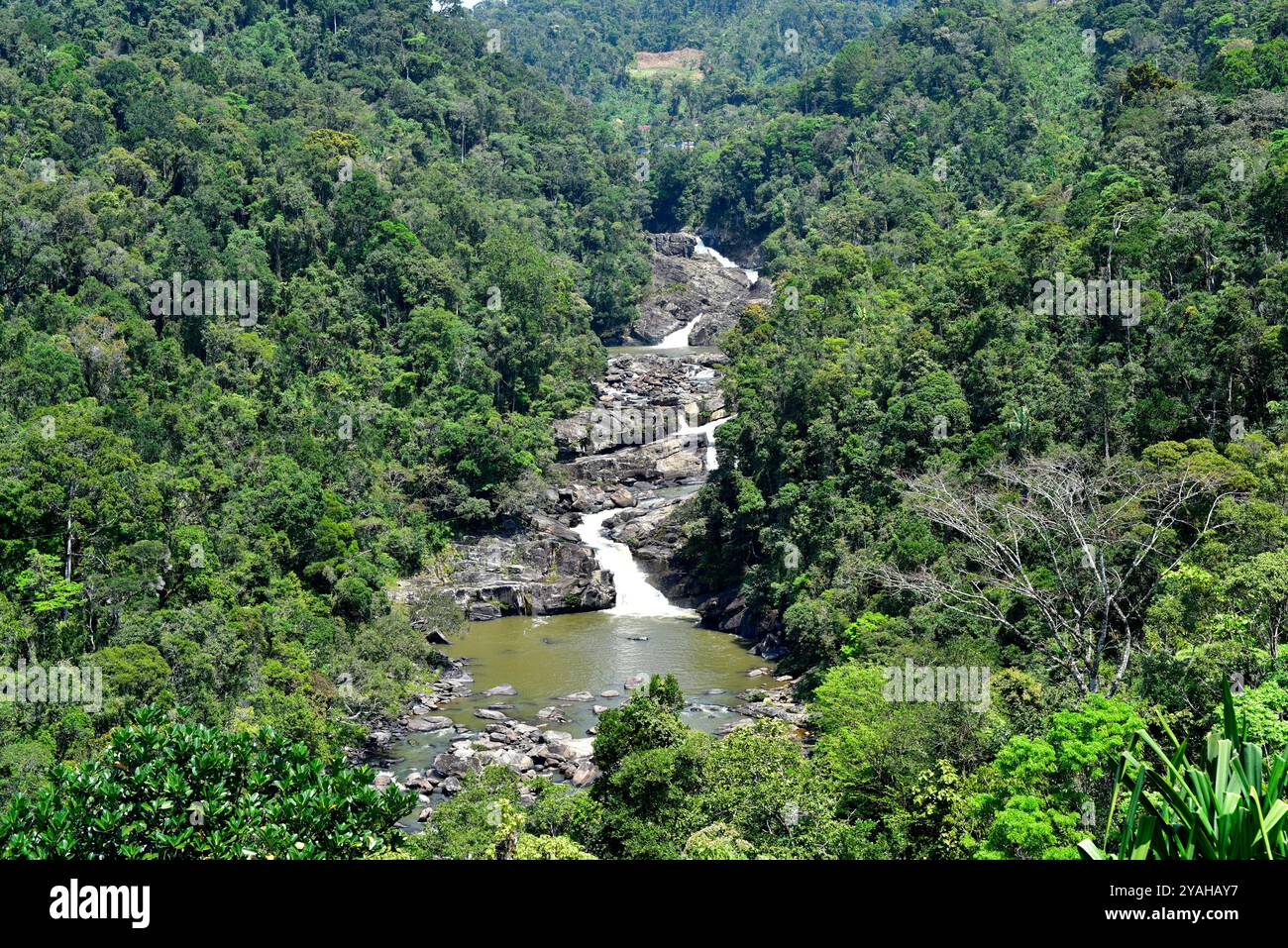 Ranomafana National Park, UNESCO World Heritage Site. Rainforests of ...