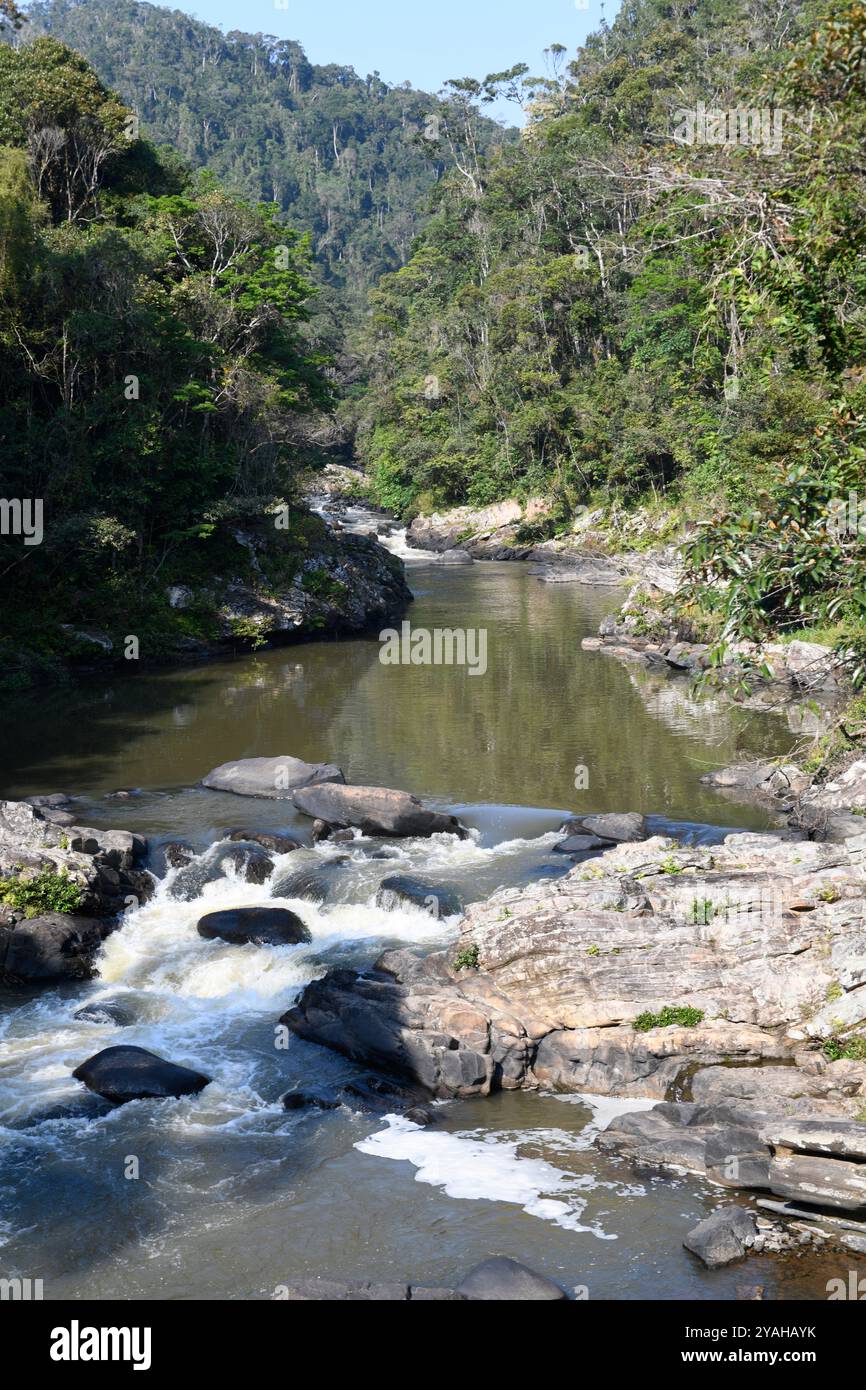 Ranomafana National Park, UNESCO World Heritage Site. Rainforests of ...