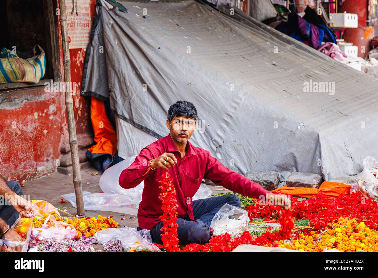 A local seller holds hibiscus garlands he is making in Howrah Flower ...