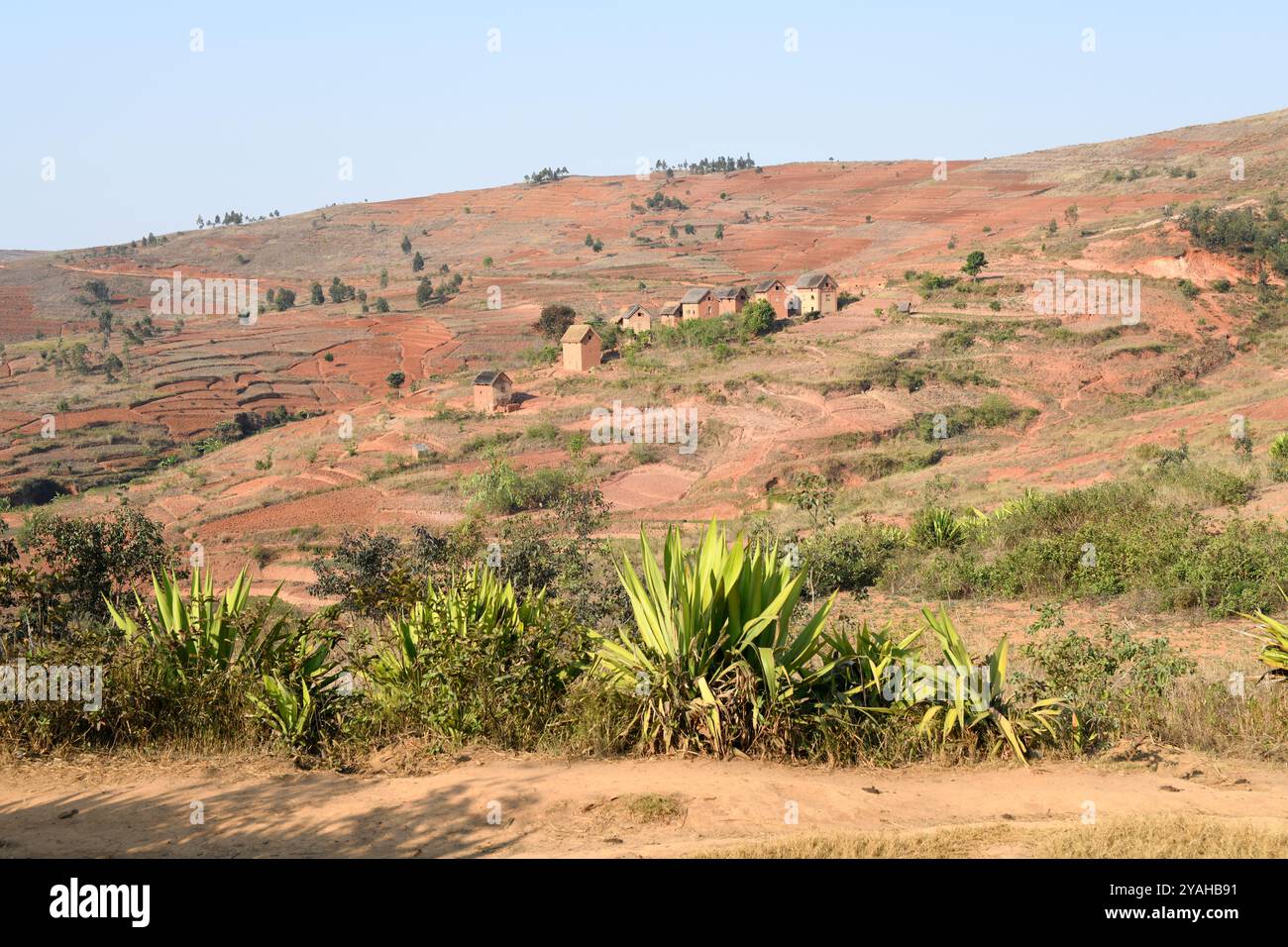 Central Highlands, village and terraced crops. Deforestation ...
