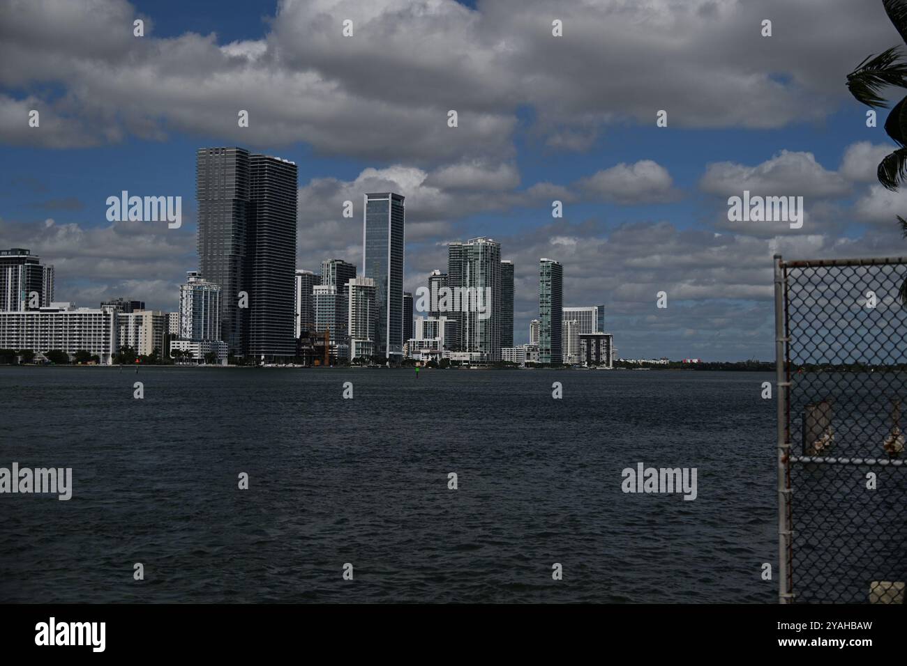 Bustling city miami hi-res stock photography and images - Alamy