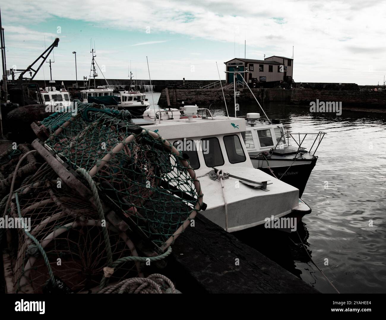 St Abbs fishing harbour south east Scotland for diving a marine ...