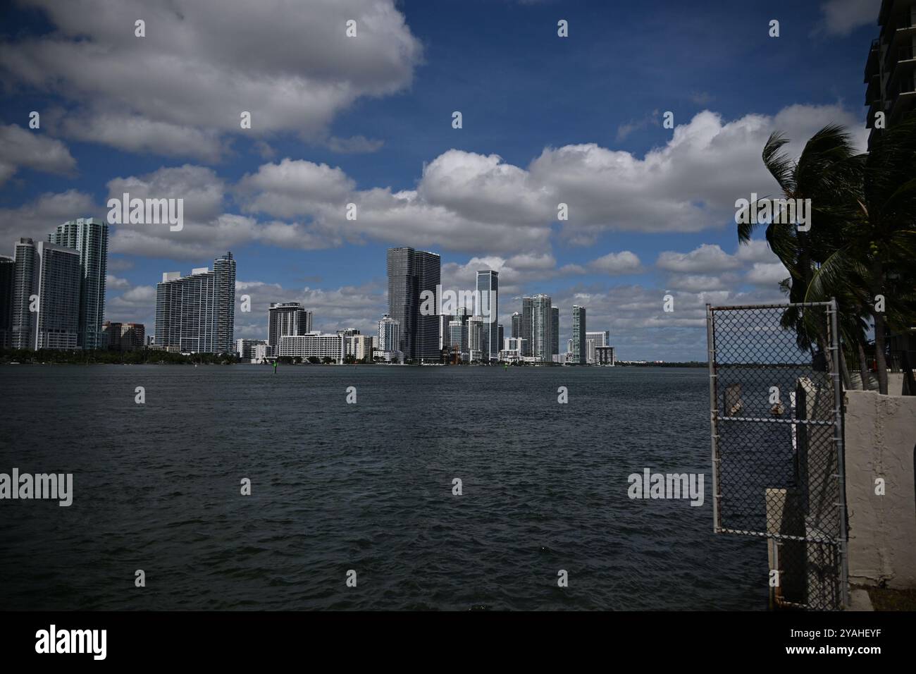 Bustling city miami hi-res stock photography and images - Alamy