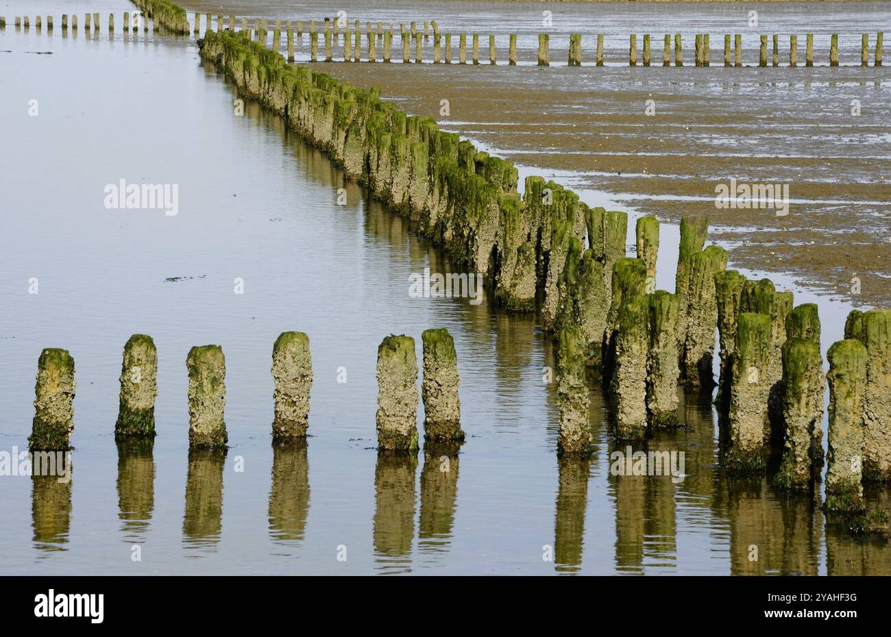 Large view of the beach during low tide Stock Photo - Alamy
