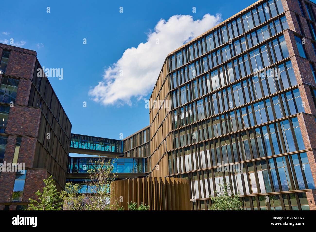 Contemporary office buildings with glass facades connected by skybridge ...