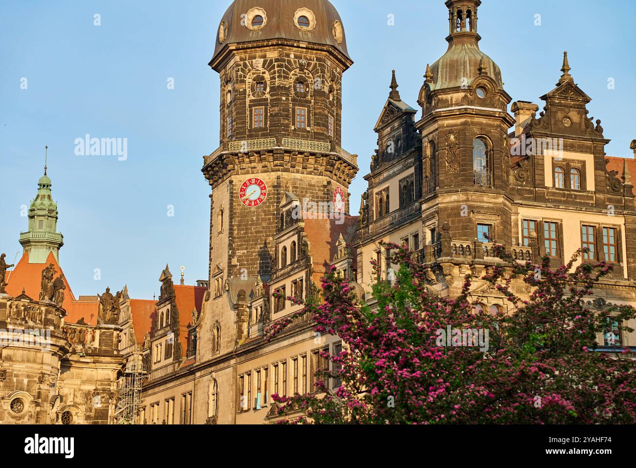 Dresden cathedral and Hausmannsturm tower at sunset. German ...