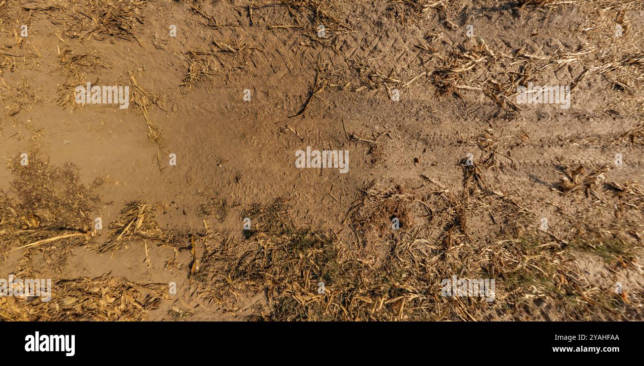 view from above on texture of dry muddy road with tractor tire tracks ...