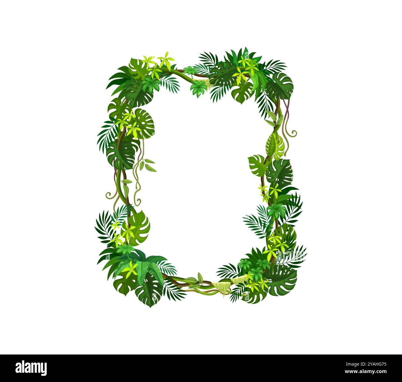 Tropical jungle frame with forest liana branch, leaves and vines ...
