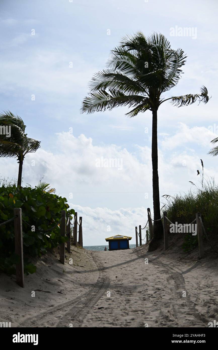 Lively street view ocean hi-res stock photography and images - Alamy