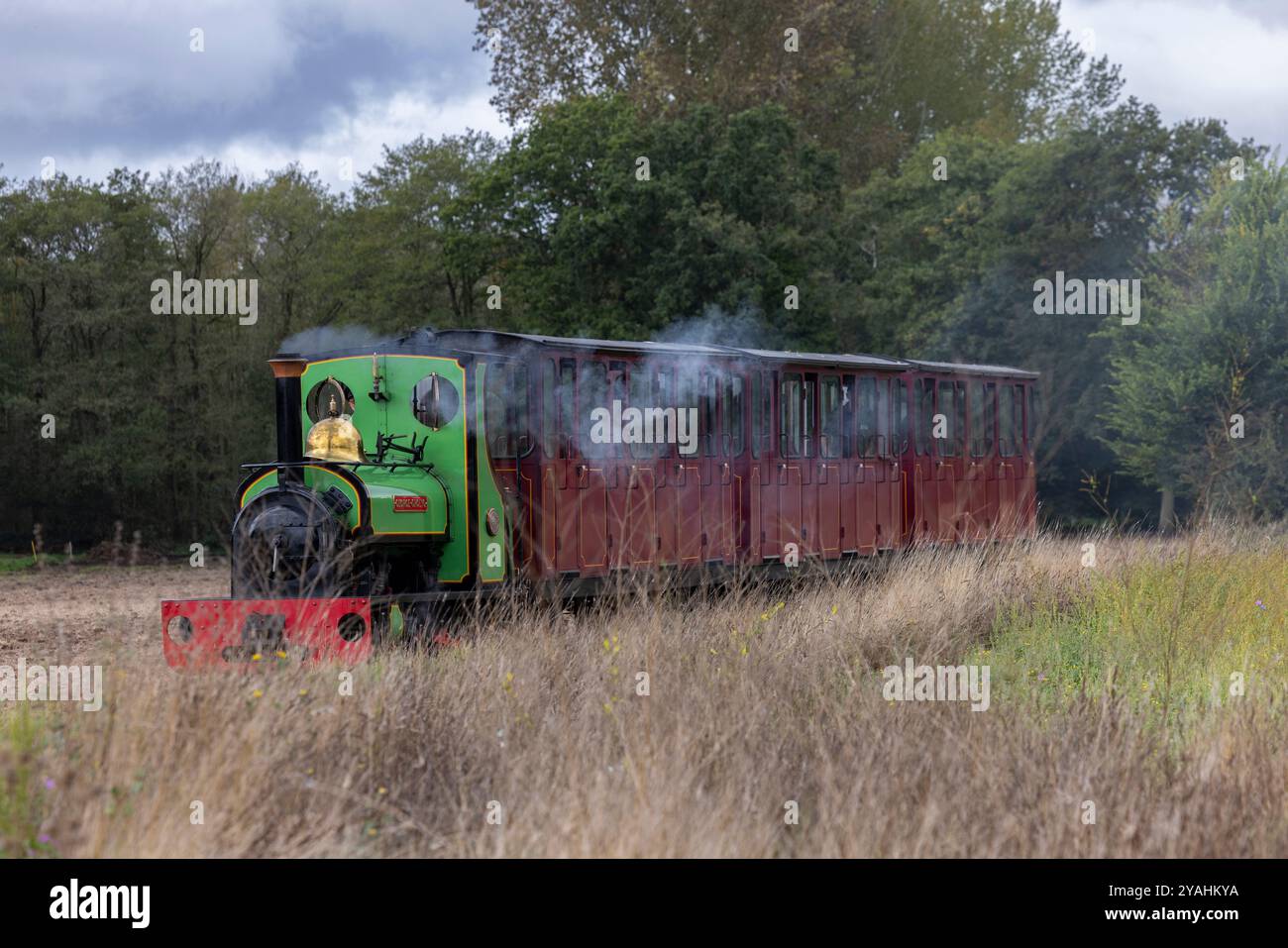 Bressingham Steam Museum & Gardens where huge electric pylons were ...