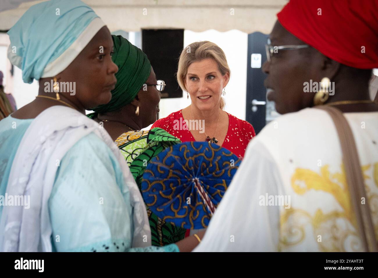 Sophie duchess of edinburgh charity hi-res stock photography and images ...
