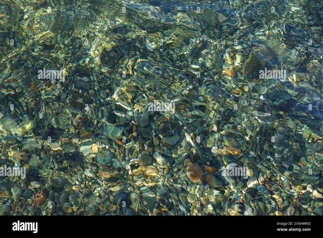 The image shows the bottom of a shallow body of water, where smooth ...